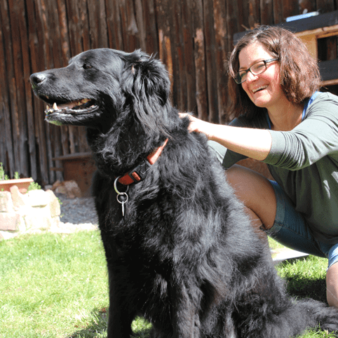 Über Uns - TTouch-dogsworld